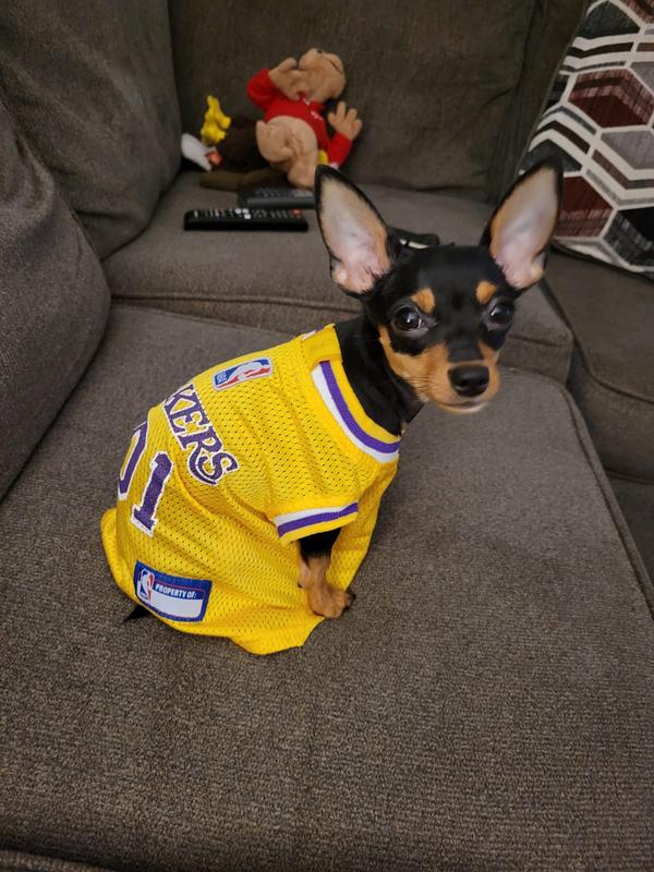PETS FIRST NBA Dog & Cat Mesh Jersey, Los Angeles Lakers, Small - Chewy.com