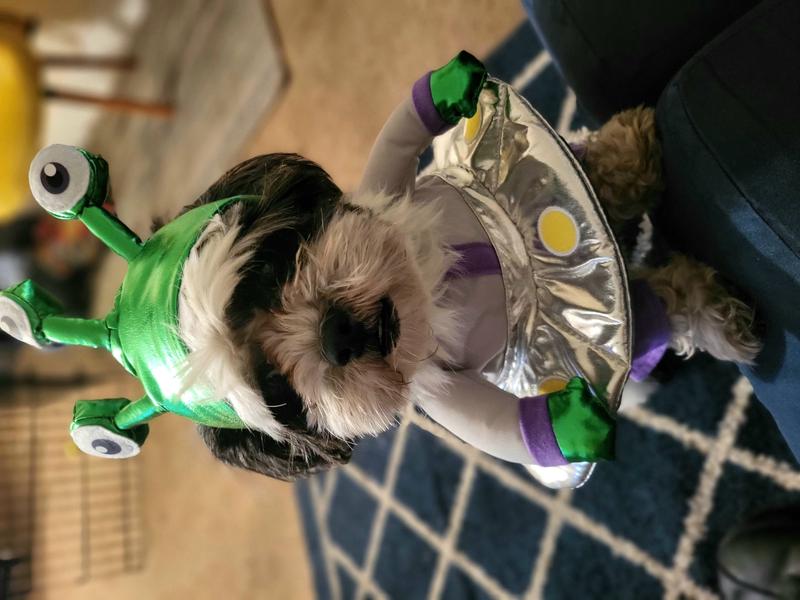FRISCO Front Walking Alien Dog & Cat Costume, XX-Large - Chewy.com
