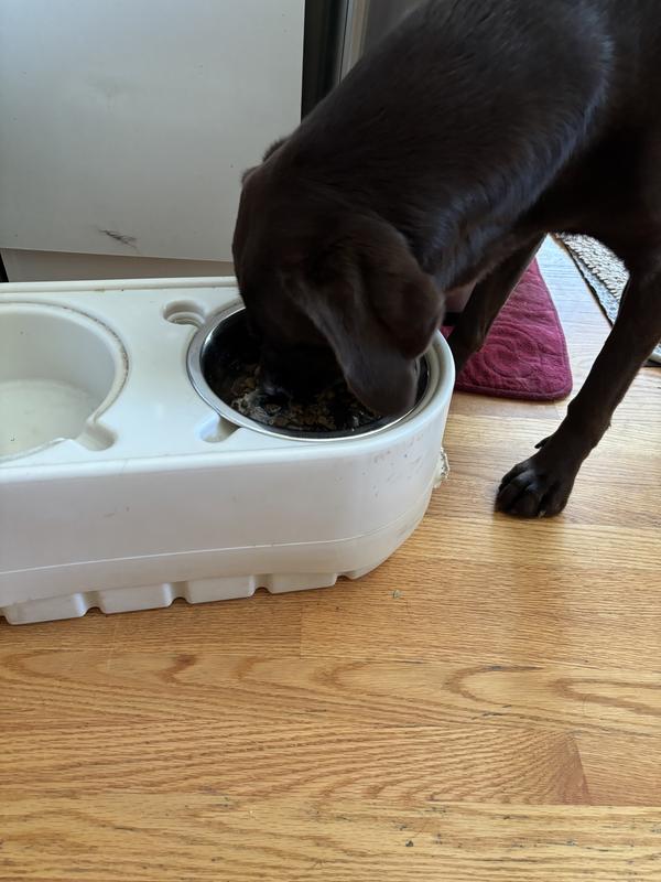 BADLANDS RANCH Superfood Complete Beef & Bison Grain-Free Air-Dried Dog ...