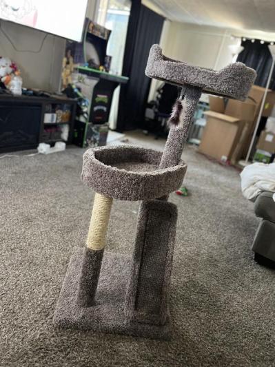 FRISCO 44-in Real Carpet Cat Tree with Replaceable Corrugate Scratcher ...