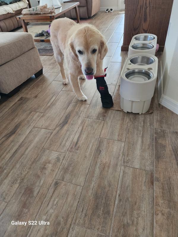 MEDIPAW Rugged Dog & Cat Protective Boot, Medium - Chewy.com