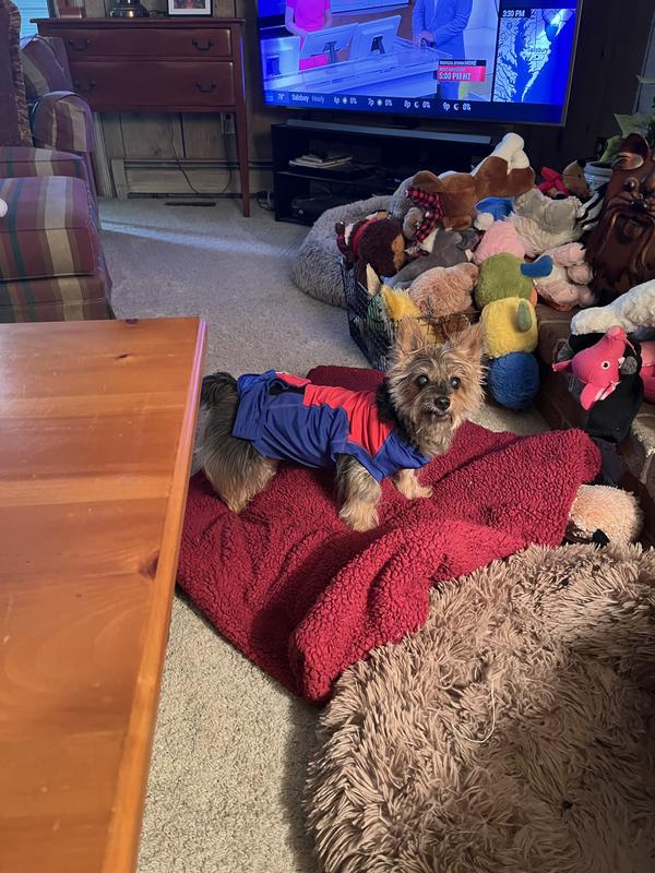 SURGI SNUGGLY Wonder Suit Post Surgical Healing Dog Suit, X-Large Short ...