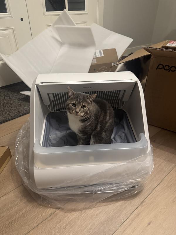 POPUR X5 Self-Cleaning Cat Litter Box - Chewy.com