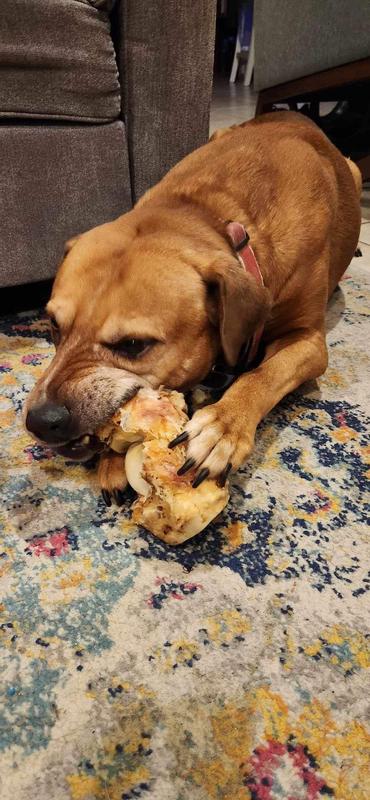 BONES & CHEWS Made in USA Beef Hock Bone Dog Treat, 2 count - Chewy.com