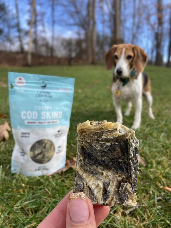 CANINE CRAVERS Crispy Cod Skins Dehydrated Dog Treats, 4-oz pouch ...