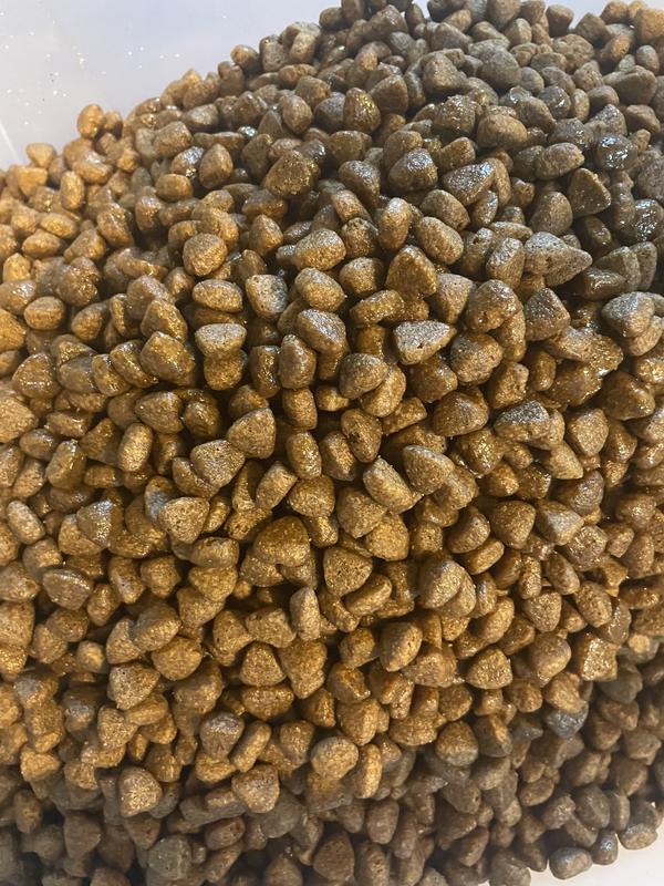 SPORTMIX CanineX Performance Chicken Formula Dry Dog Food, 40-lb bag ...