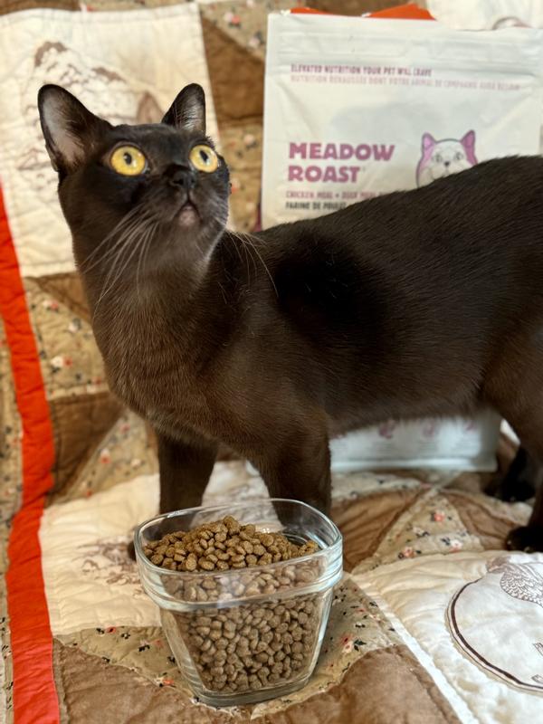 PETCUREAN SUMMIT Meadow Roast Recipe Dry Cat Food, 3-lb bag - Chewy.com