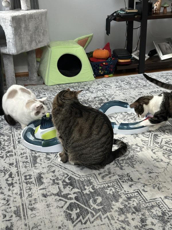 CATIT Design Senses Circuit Cat Toy, Super Roller - Chewy.com