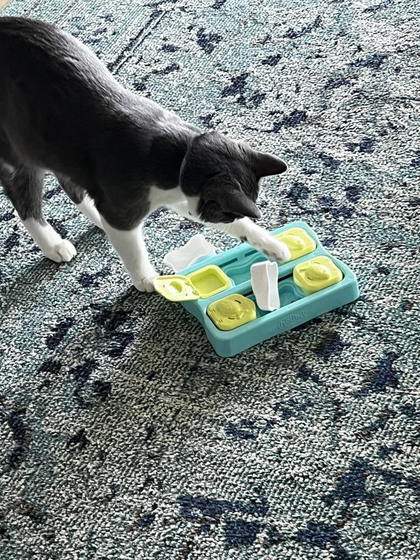 CATSTAGES Kitty Cube Cat Treat Puzzle Toy, Blue - Chewy.com