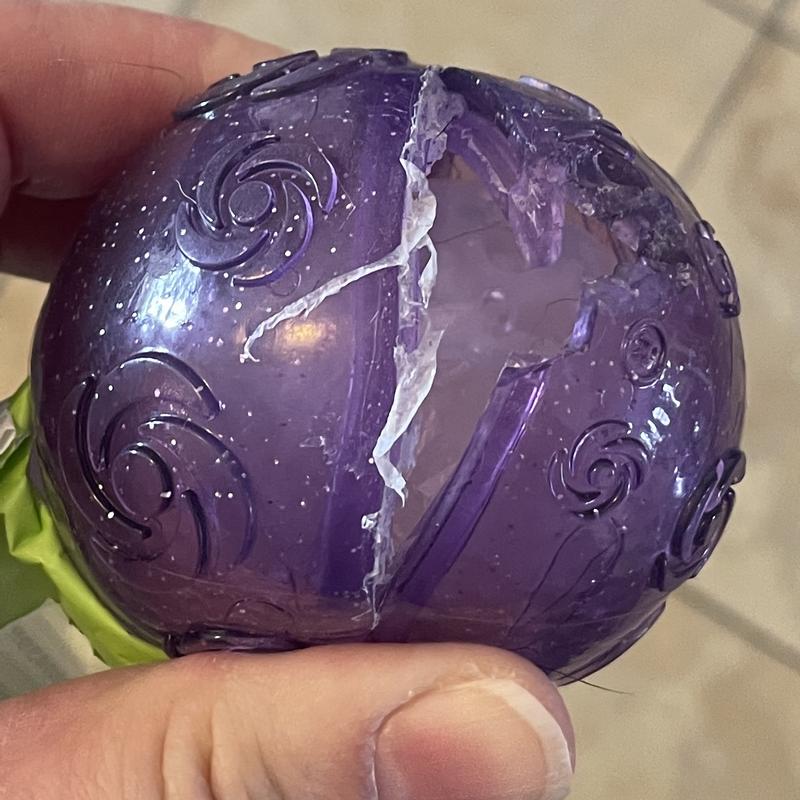 KONG Squeezz Crackle Ball for Dogs, Color Varies, Medium - Chewy.com