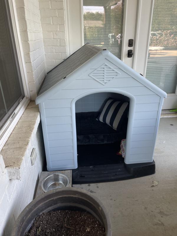 FRISCO Plastic Outdoor Dog House with Elevated Platform, Large - Chewy.com