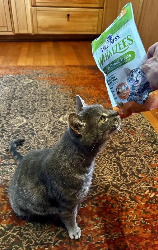 WHIMZEES by Wellness Natural Chicken Dental Cat Treats, 2-oz bag ...