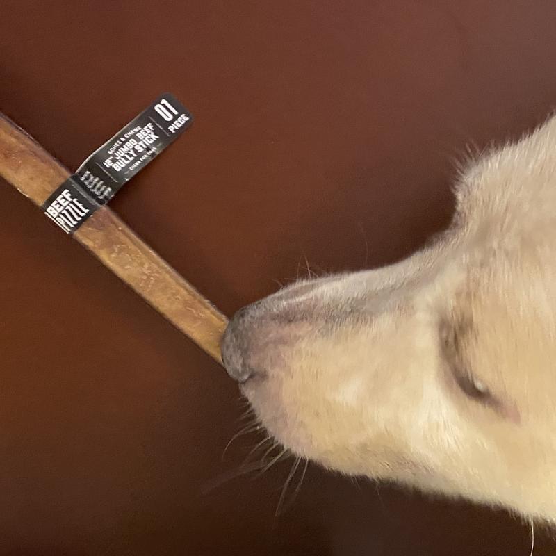 BONES & CHEWS Jumbo Bully Stick 12" Dog Treats, 20 count - Chewy.com