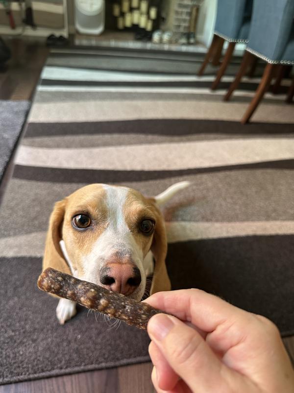 PEDIGREE Canine Cookout Beef Flavored High-Protein Adult Meaty Sticks ...