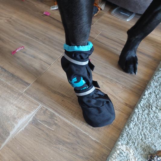 MEDIPAW Soft-Lined Dog & Cat Healing Boot, X-Large - Chewy.com