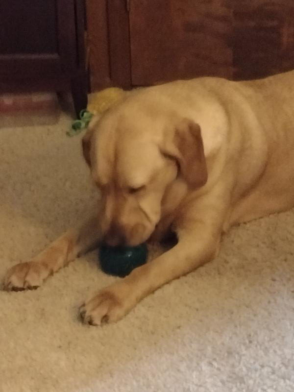 WOOF Pupsicle Pops Refills Beef Grain-Free Lickable Dog Treats, Large ...