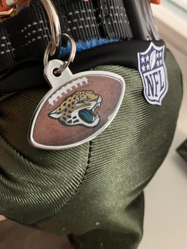 QUICK-TAG NFL Football Personalized Dog & Cat ID Tag, Large, Pittsburgh ...
