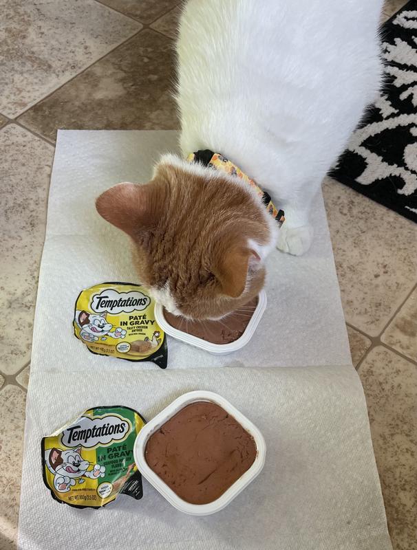 TEMPTATIONS Pate in Gravy Flavor Variety Wet Cat Food, 3.5-oz tray ...