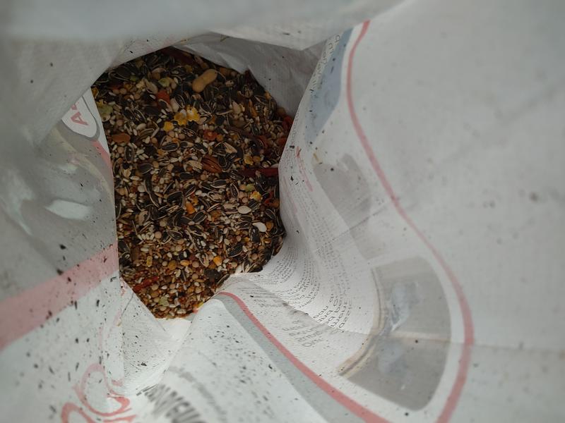 VERSELE-LAGA Classic Pigeon Food Blends 15% No Corn Pigeon Food, 50-lb bag, bundle of 3 - Chewy.com