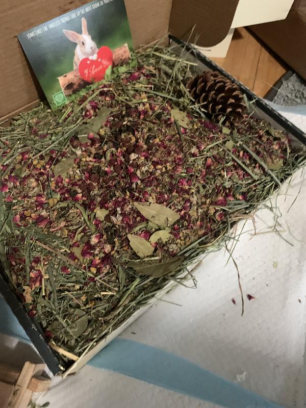 SMALL PET SELECT Gourmet Hay Exclusive Treat Hay, Flowers & Herb Blend ...