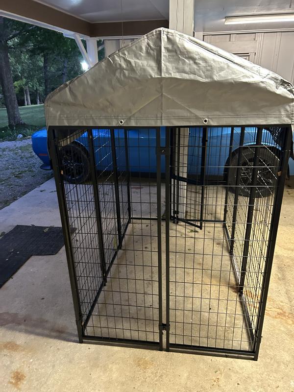 KENNELMASTER Vinyl Coated Welded Wire Boxed Dog Kennel, Black, 6-ft x 4 ...
