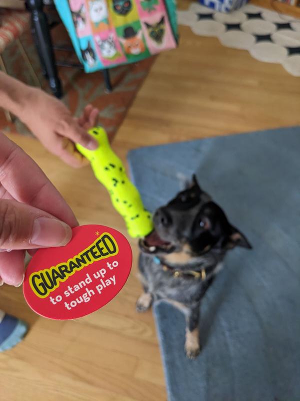 KONG Reflex Stick Dog Flying Disc Toy, Yellow, Medium - Chewy.com