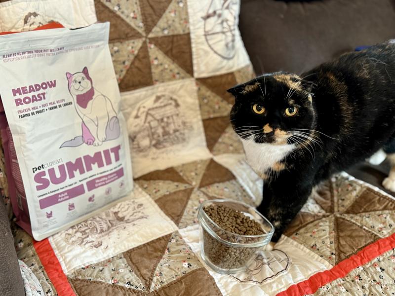 PETCUREAN SUMMIT Meadow Roast Recipe Dry Cat Food, 3-lb bag - Chewy.com