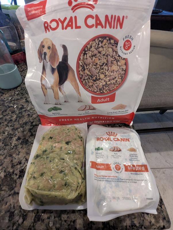 ROYAL CANIN Fresh Health Nutrition Adult Dog Food, 8.8-oz pouch, pack ...