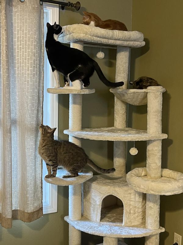FRISCO 76-in XXL Heavy Duty Cat Tree, Cream - Chewy.com