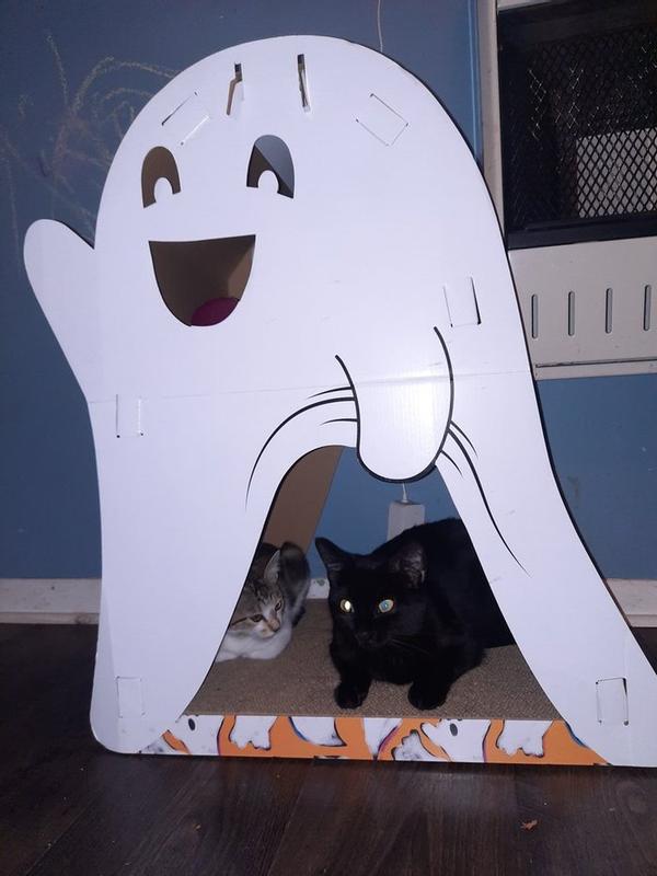 FRISCO Halloween Cutie Ghost Cardboard Cat House with Catnip - Chewy.com
