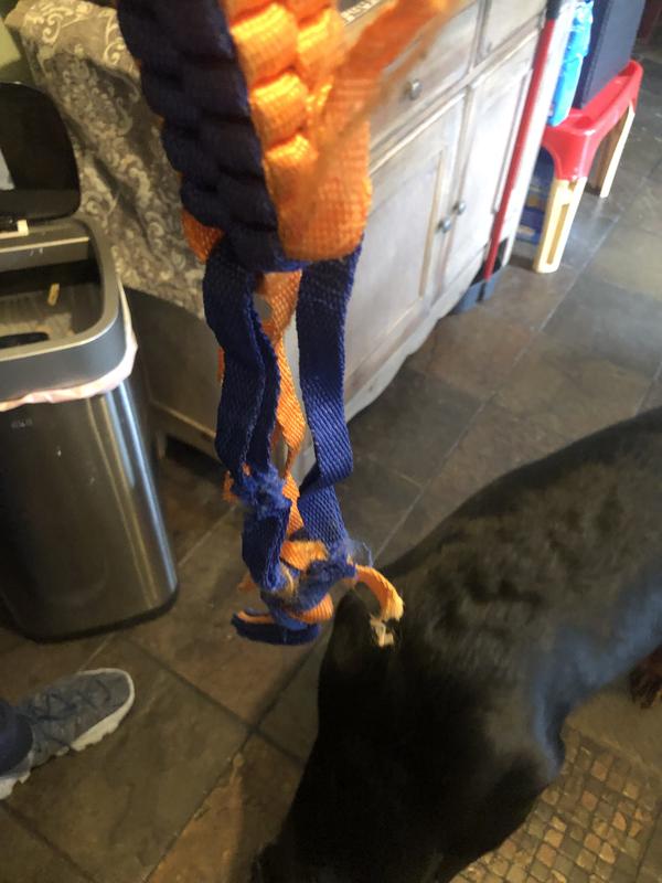 NERF DOG Force Grip Vortex Chain Tug Dog Toy, 30-in - Chewy.com