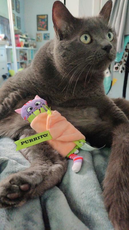 KONG Pull-A-Partz Purrito Plush Cat Toy with Catnip - Chewy.com