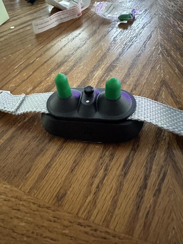 GROOVYPETS Rechargeable Waterproof Bark Control Training Dog Collar ...