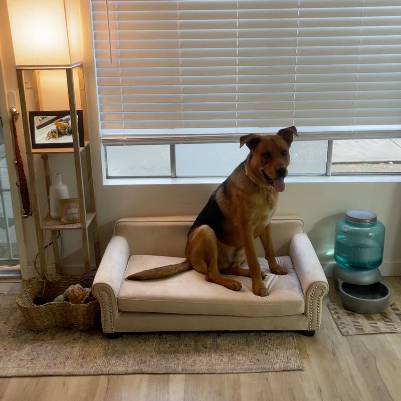 FRISCO Sofa Pet Bed with Removable Cover, Gray, Large - Chewy.com
