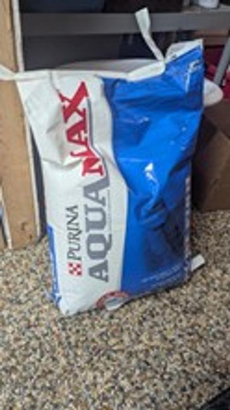 Purina AquaMax Sport Fish MVP Extruded Fish Food, 50-lb bag - Chewy.com
