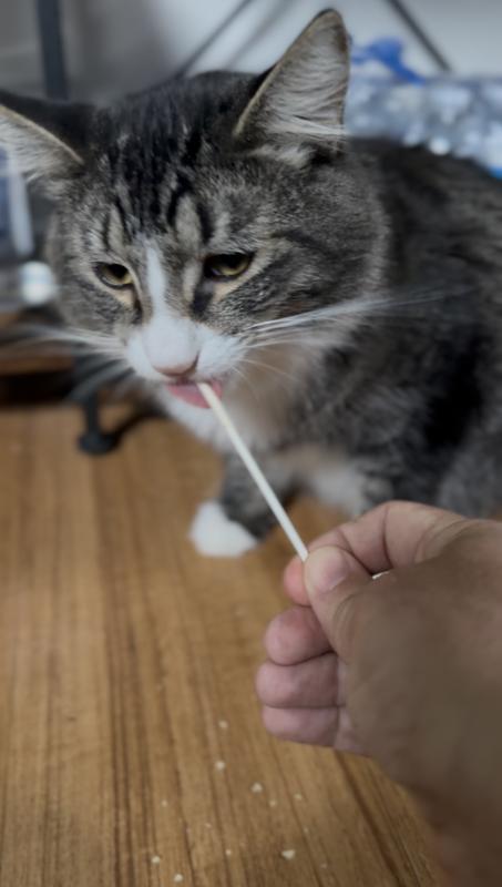 BONKERS Purr Pops Grain-Free Chicky Licks Freeze-Dried Cat Treats, 5.6 ...