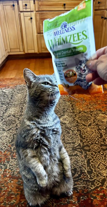 WHIMZEES by Wellness Natural Chicken Dental Cat Treats, 2-oz bag ...