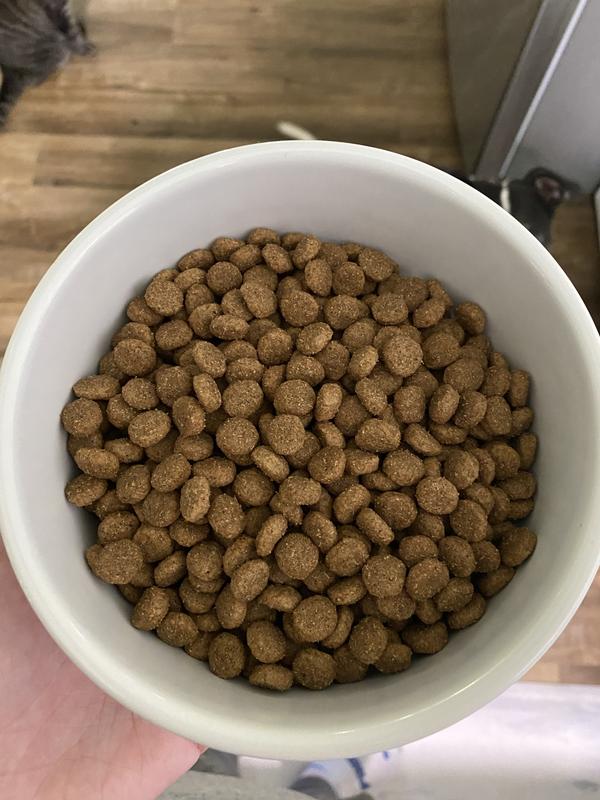 PETCUREAN SUMMIT Coastal Grill Adult Dry Dog Food, 25-lb bag - Chewy.com