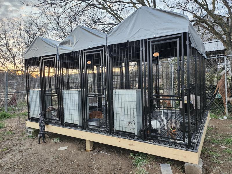 KENNELMASTER Vinyl Coated Welded Wire Boxed Dog Kennel, Black, 8-ft x 4 ...