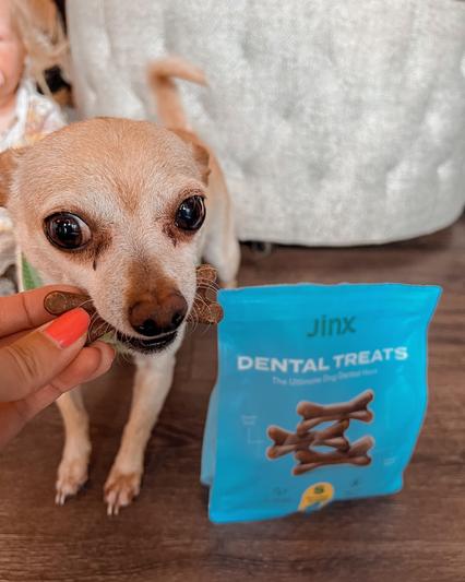JINX Small Dental Dog Treats, 13 count - Chewy.com