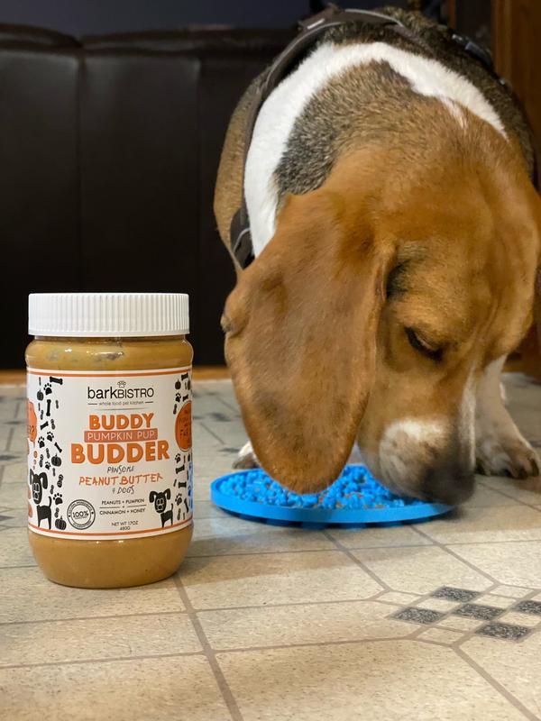 BARK BISTRO COMPANY Buddy Budder Pumpkin & Cinnamon Peanut Butter ...