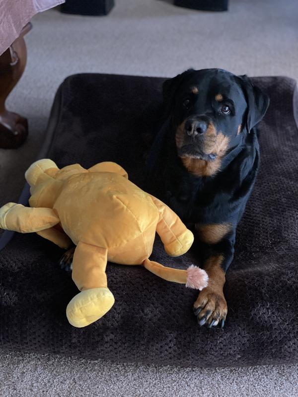 DISNEY Simba Jumbo Plush Squeaky Dog Toy - Chewy.com