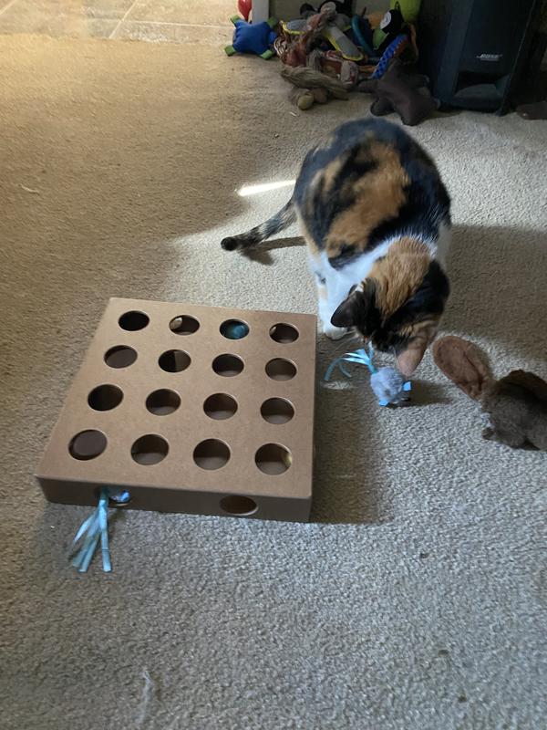 FRISCO Interactive Wooden Cat Toy Box with Catnip - Chewy.com