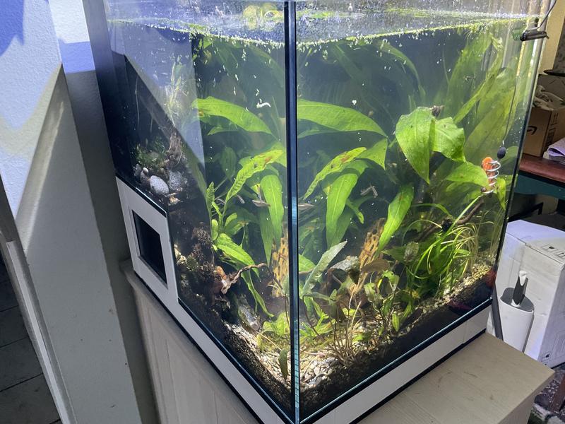 ACTIV-FLORA Planted Aquarium Substrate, Floragems, 20-lb bag - Chewy.com