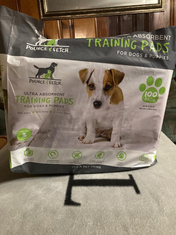 POUNCE + FETCH Ultra Absorbent Dog Training Pads, 100 count - Chewy.com