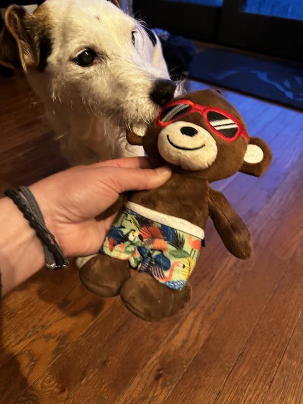 Discontinued - FRISCO Summer Monkey Plush Squeaky Dog Toy, Small/Medium ...