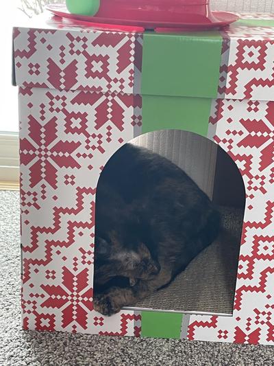 FRISCO Holiday Gift Box Cardboard Cat House - Chewy.com