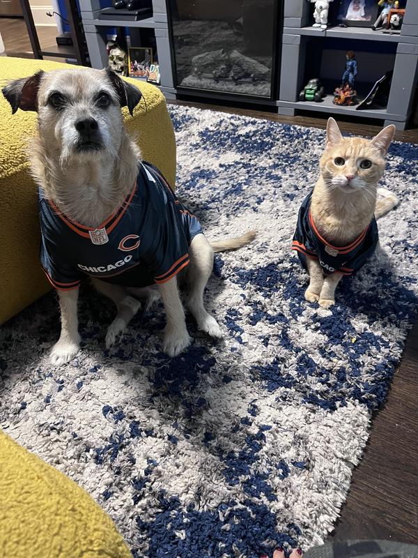 GS-441524 COMPOUNDED Tuna Bisect Tablet, 50 mg, 60 tablets for ...