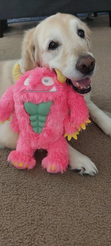 Out of Stock - FRISCO Halloween Zany Monster Muscle Plush Squeaky Dog ...