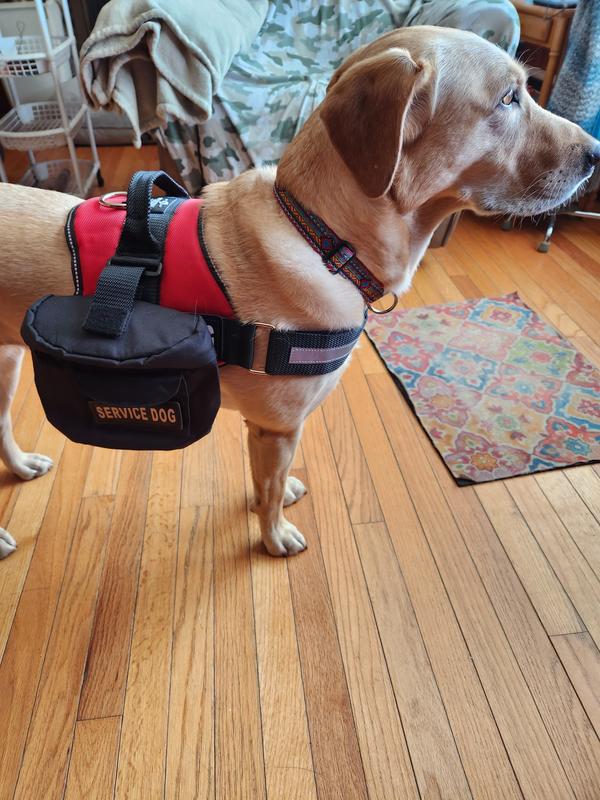 49 Designs Service Dog Vest Pattern To Sew For Free EditRozali